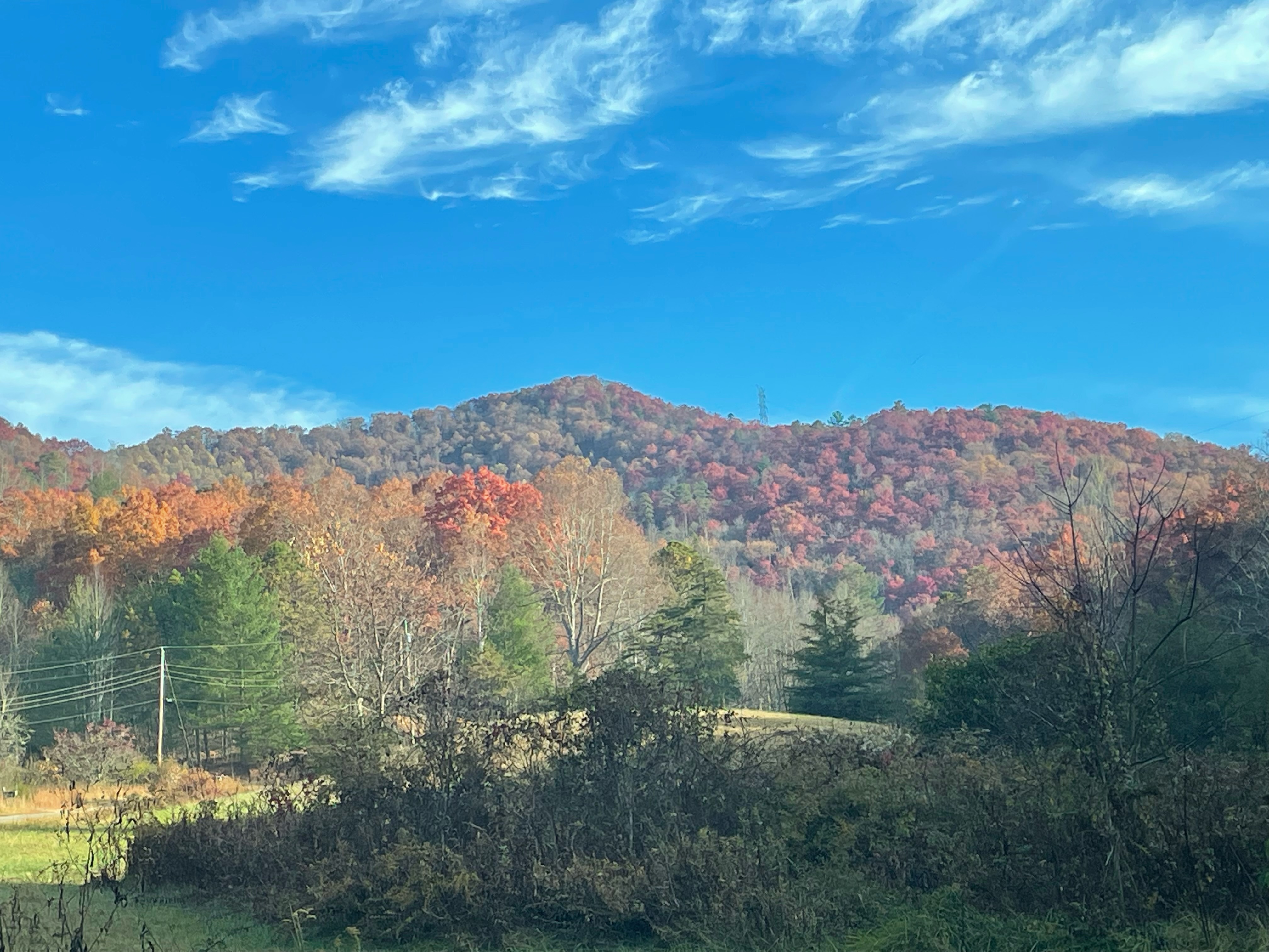 Queen Branch Unrestricted Lots for sale - Tiny Mountain Estates